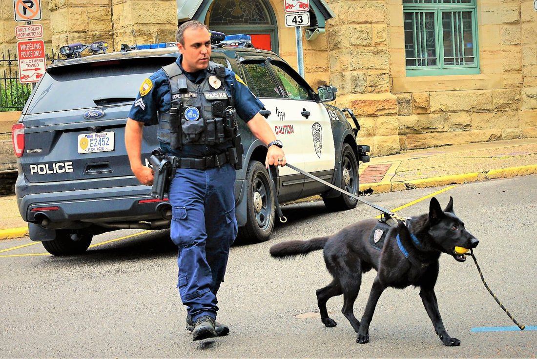 Wheeling Police Department Welcomes Ozzy to K-9 Unit | News, Sports ...